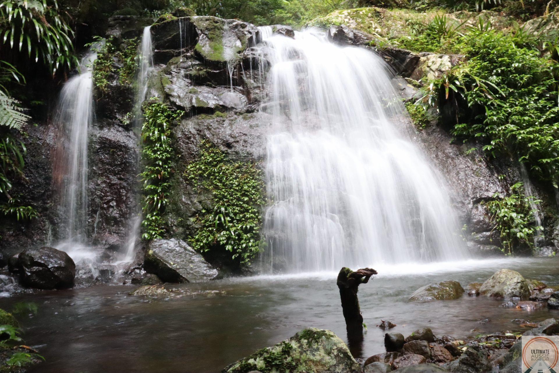 My Introduction to the World of Hiking – Part Two (Coomera Falls ...